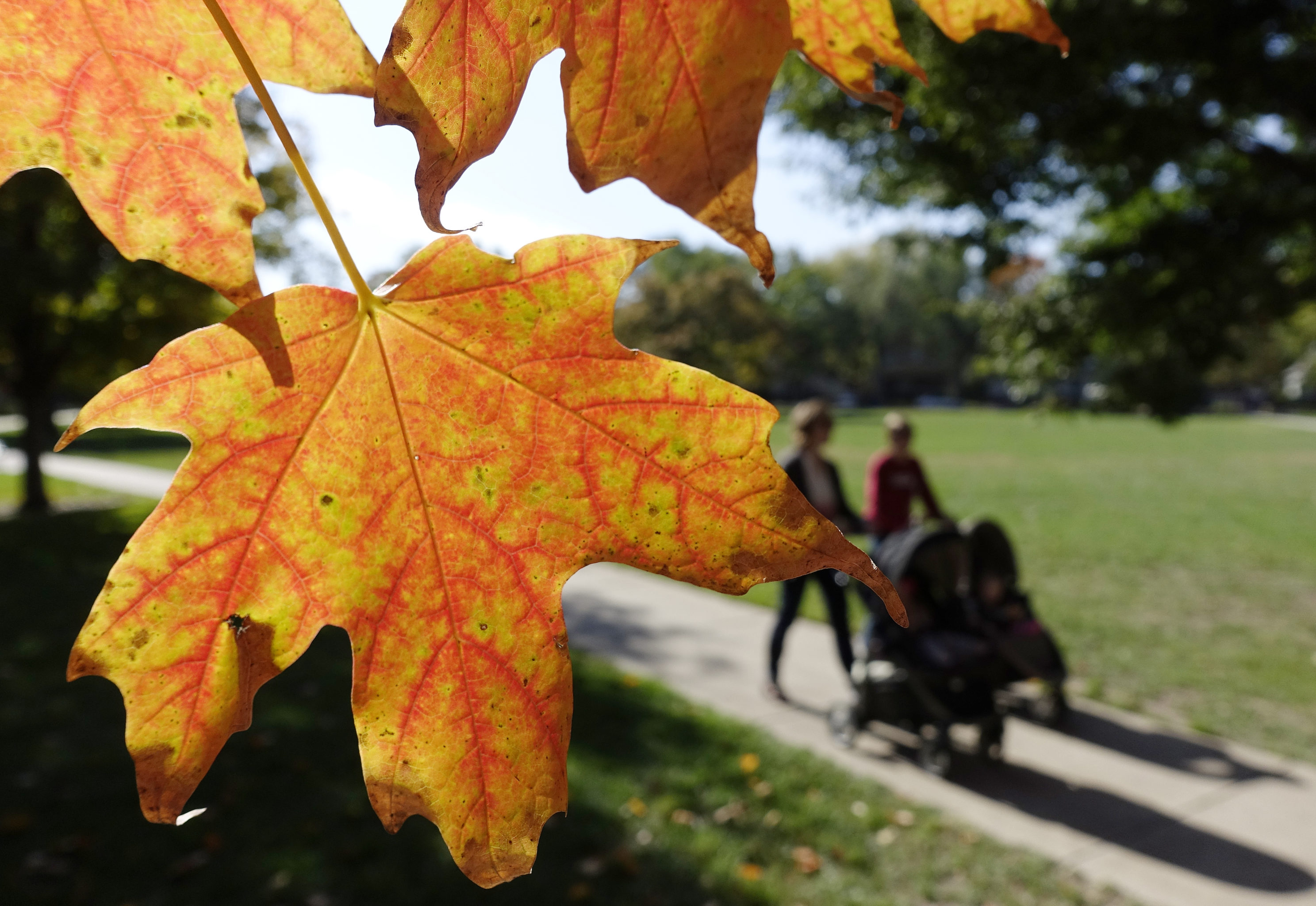 After wet weekend, sunnier fall-like weather on the way for Lawrence ...